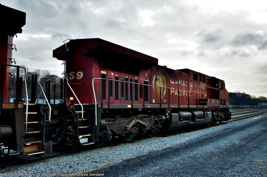 Golden Beavers in Bethlehem, Pa.
